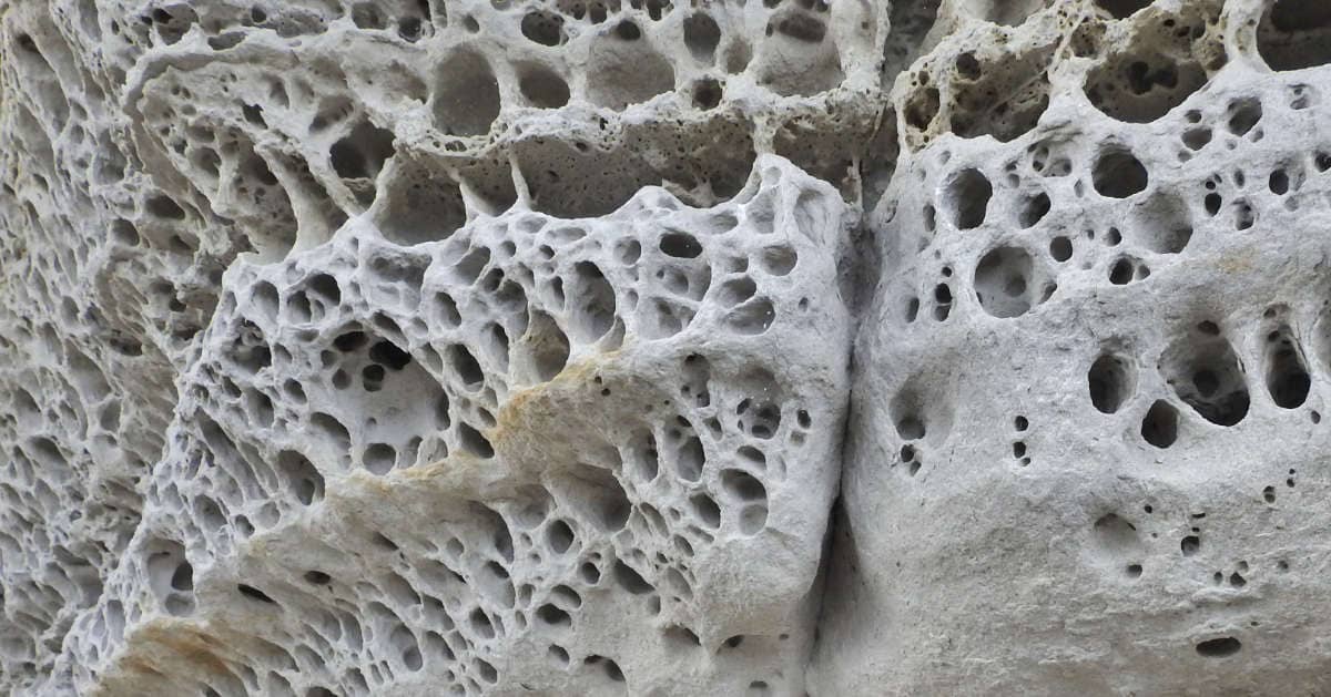 Wat je moet weten en kunnen als je organisaties ziet als systemen ...