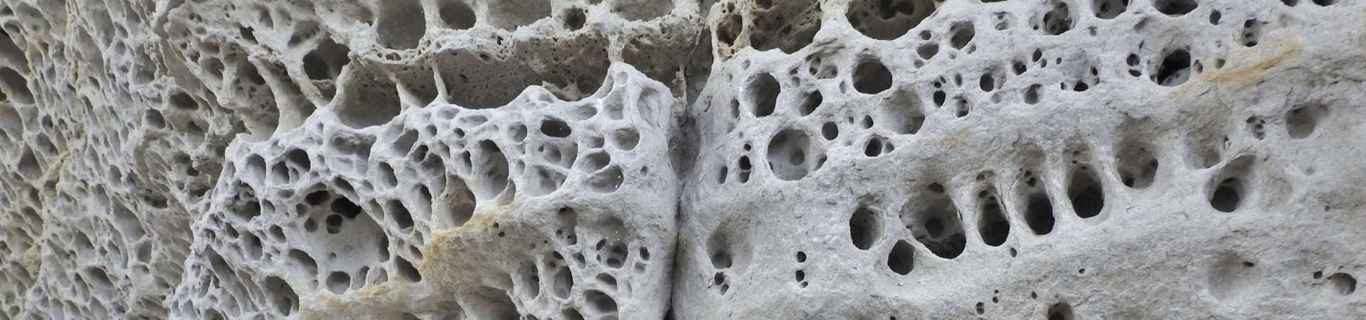 Wat je moet weten en kunnen als je organisaties ziet als systemen ...